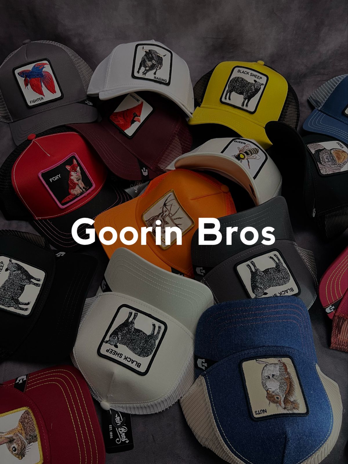 Goorin Bros – Page 2 – Union Cap